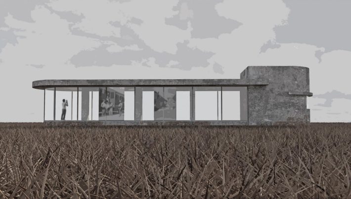 The Untrodden Trail – Al Baqourah by Jude Abu El Ghanam