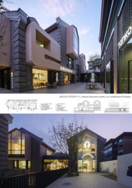 Gold Winner | Reshape the Spatial Background of Tanko: Commercial Block ...
